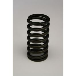 367192R1 Valve Spring