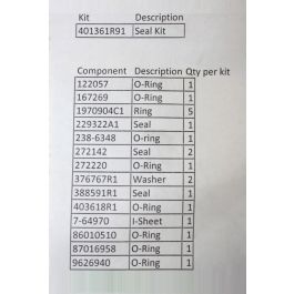 401361R91 Seal Kit